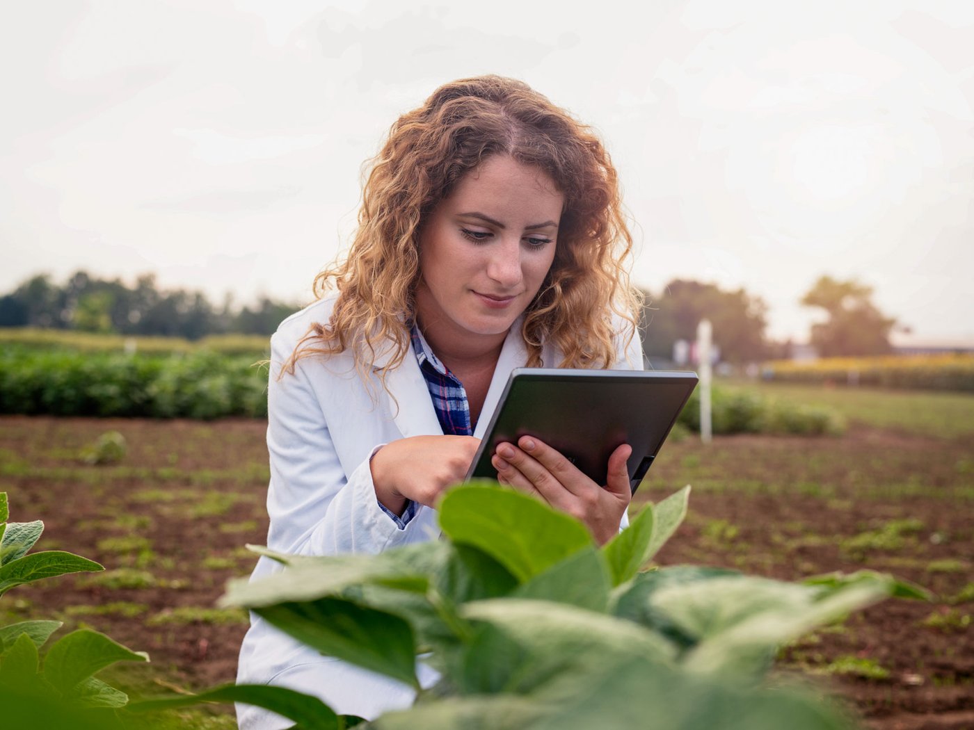 Agricultural inspector