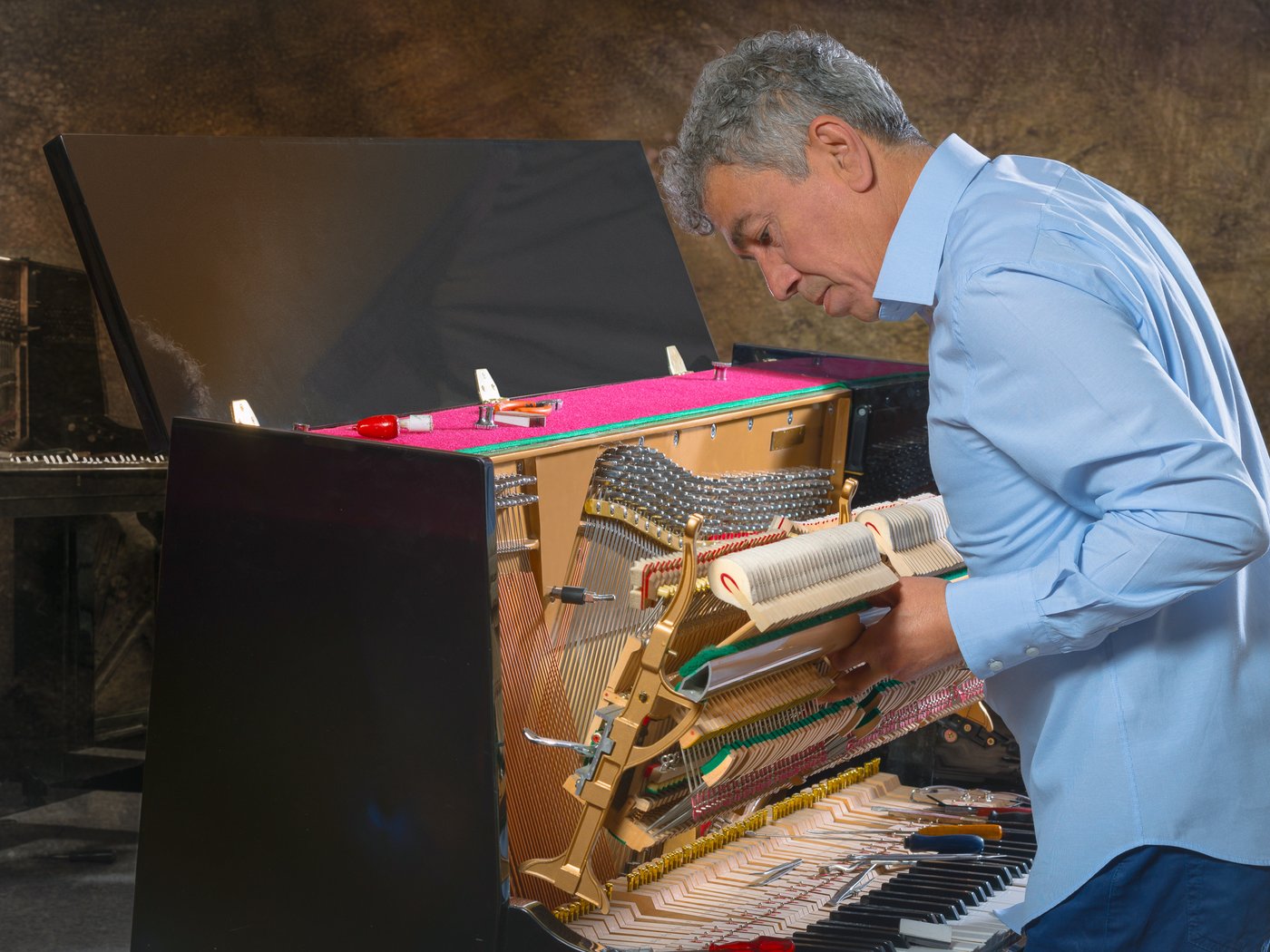 Musical instrument repairer and tuner