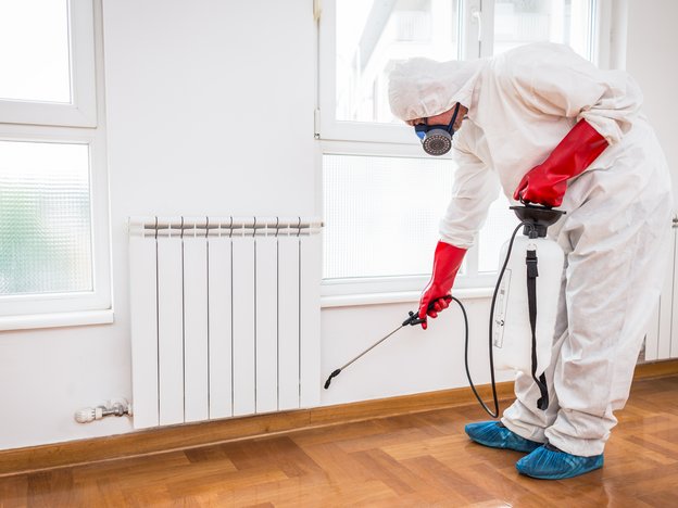 Pest control technician