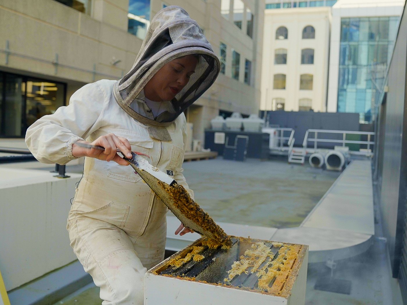 Beekeeper